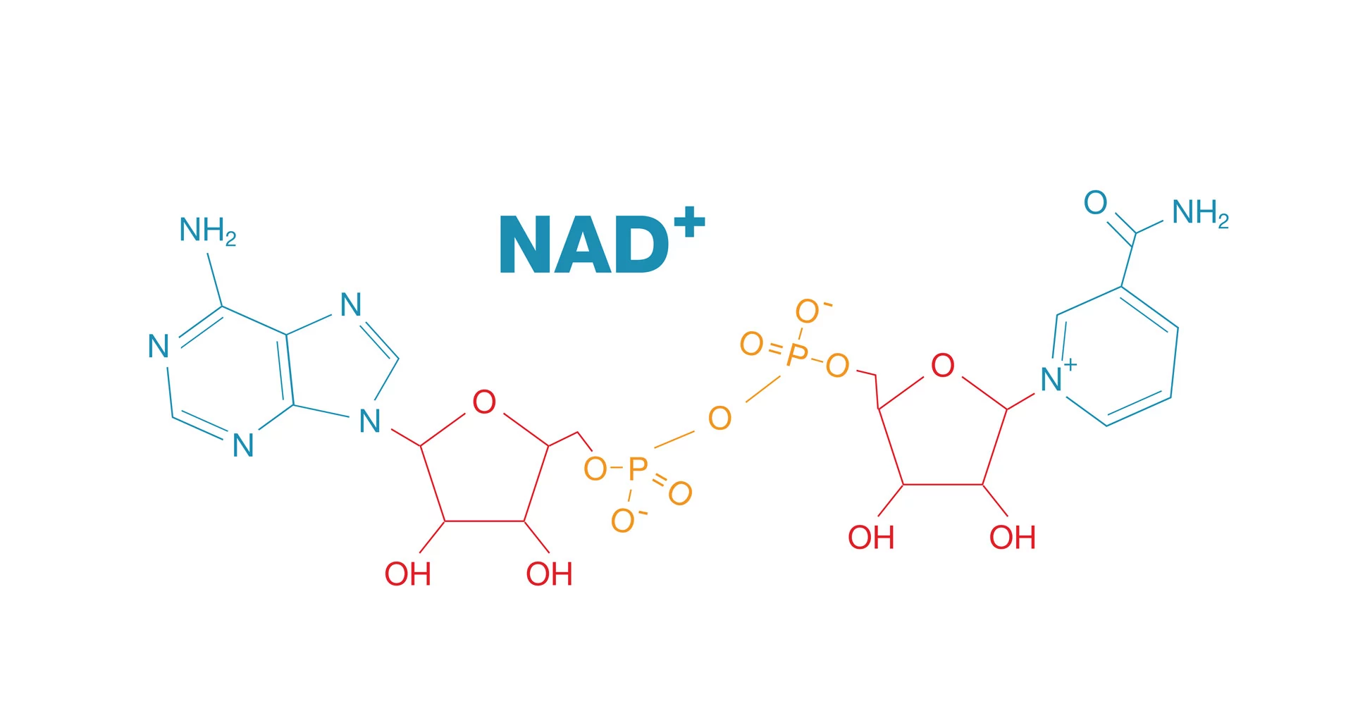 BENEFITS OF NAD+ - MED-IVee
